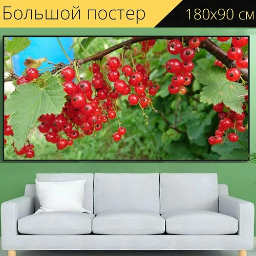 Большой постер "Смородина, ягода, природа" 180 x 90 см. для интерьера