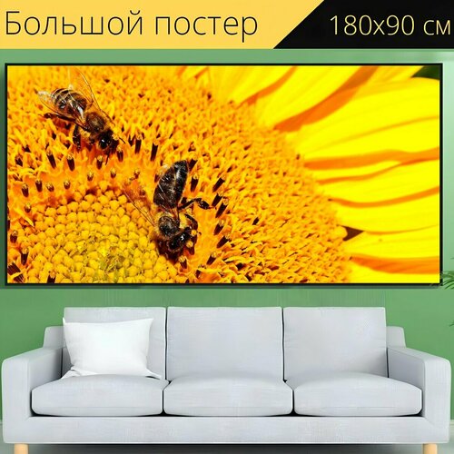 Большой постер "Подсолнух, пчелы, летом" 180 x 90 см. для интерьера
