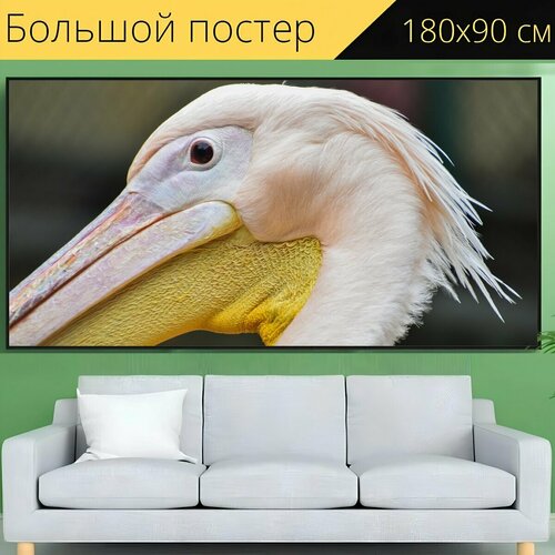 Большой постер "Пеликан, пеликан птица, природа" 180 x 90 см. для интерьера