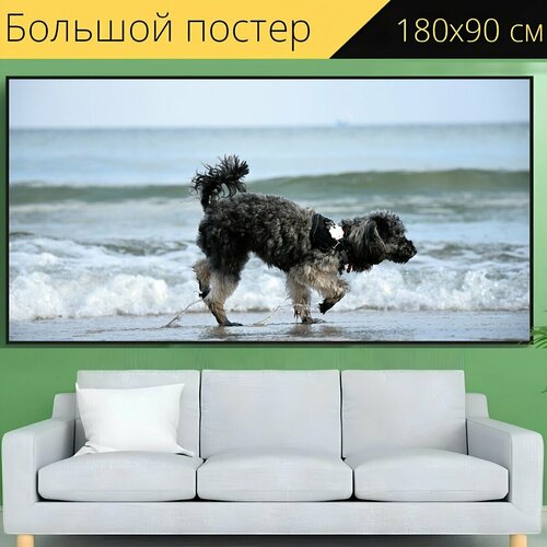 Большой постер "Вода, пляж, собака" 180 x 90 см. для интерьера