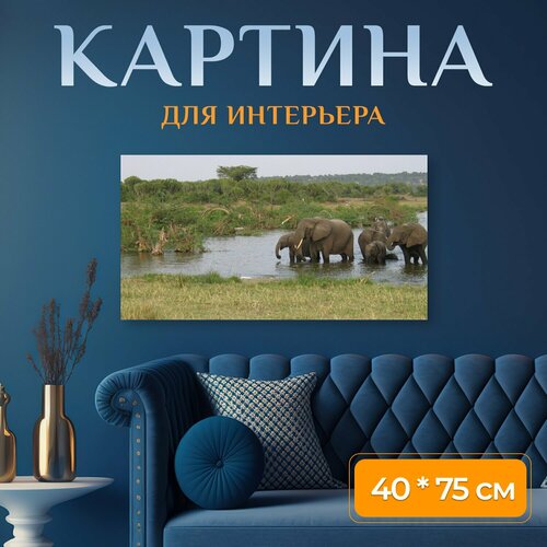 Картина на холсте "Слоны, животные, дикая природа" на подрамнике 75х40 см. для интерьера