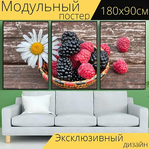 Модульный постер "Ежевика, малина, фрукты" 180 x 90 см. для интерьера