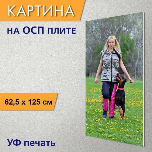 Вертикальная картина на ОСП "Доберман, собака, фермер" 62x125 см. для интерьериа