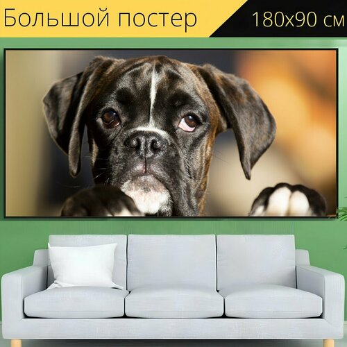 Большой постер "Собака, животное, домашний питомец" 180 x 90 см. для интерьера