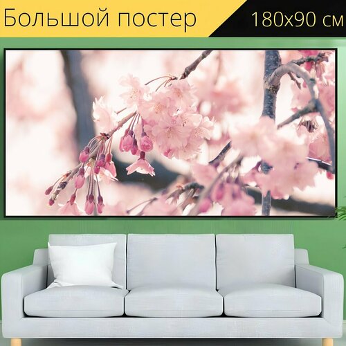 Большой постер "Цветение вишни, цветы, весна" 180 x 90 см. для интерьера