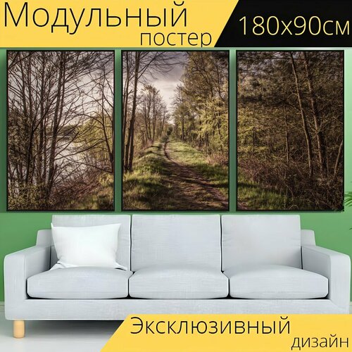 Модульный постер "Падение, лес, дорожка" 180 x 90 см. для интерьера