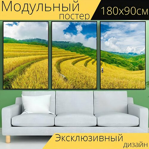 Модульный постер "Пейзаж, террасы, посевы" 180 x 90 см. для интерьера