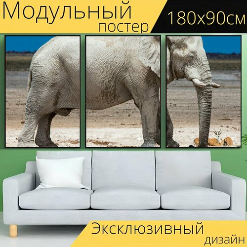 Модульный постер "Слон, африка, намибия" 180 x 90 см. для интерьера