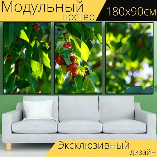 Модульный постер "Вишня, фруктовое дерево, природа" 180 x 90 см. для интерьера