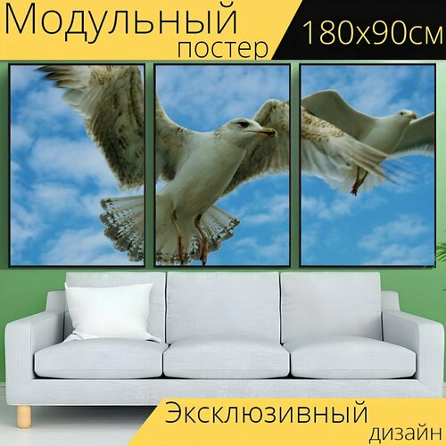 Модульный постер "Крачки, рейс, птицы" 180 x 90 см. для интерьера