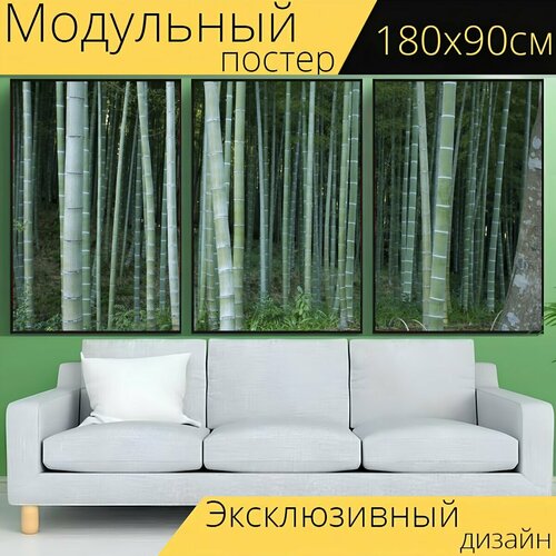 Модульный постер "Япония, деревья, бамбук" 180 x 90 см. для интерьера