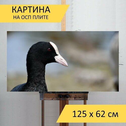 Картина на ОСП 125х62 см. "Черный, белый, птица" горизонтальная, для интерьера, с креплениями