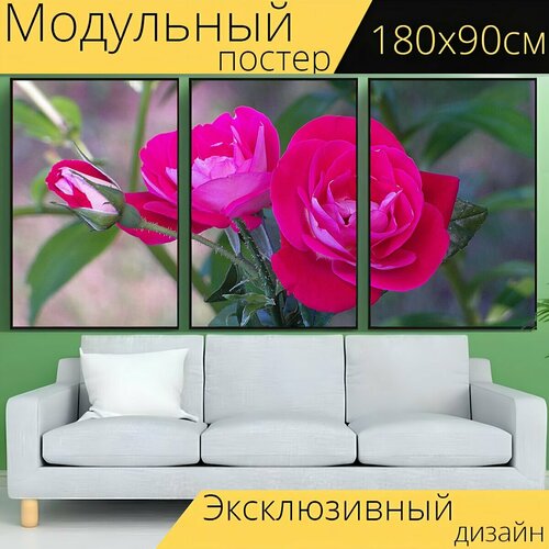 Модульный постер "Розы, цветок, розовый" 180 x 90 см. для интерьера