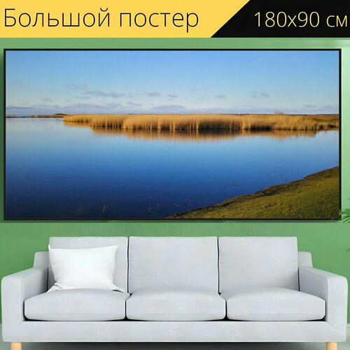 Большой постер "Тростник, озеро, банк" 180 x 90 см. для интерьера