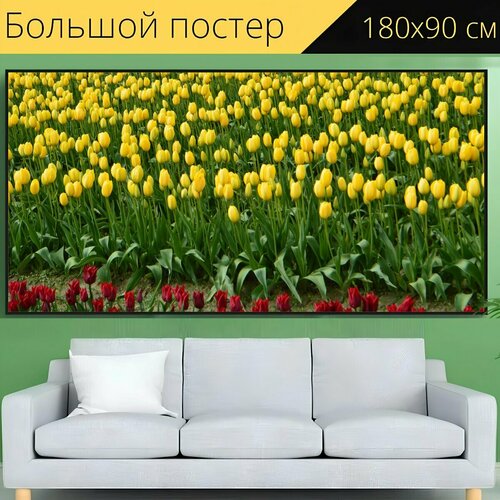 Большой постер "Тюльпаны, цветок тюльпан, поле тюльпанов" 180 x 90 см. для интерьера