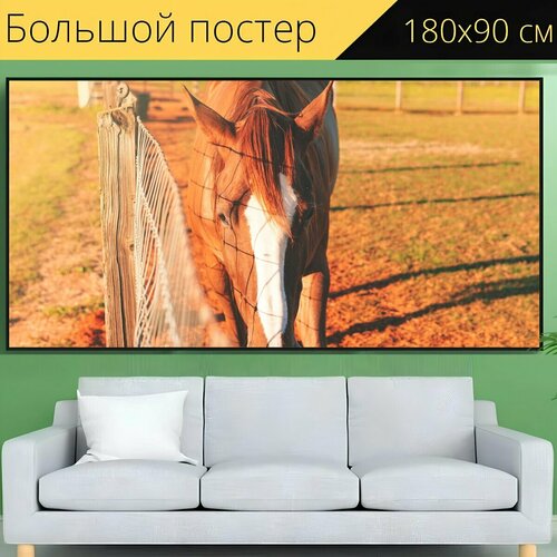 Большой постер "Лошадь, ранчо, изгородь" 180 x 90 см. для интерьера