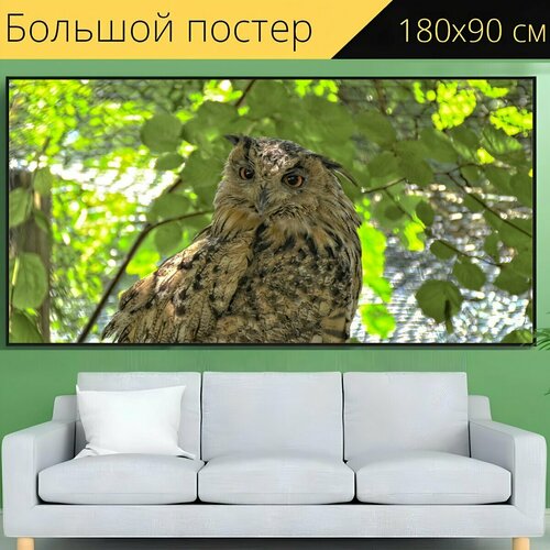 Большой постер "Сова, лесная сова, лесные жители" 180 x 90 см. для интерьера