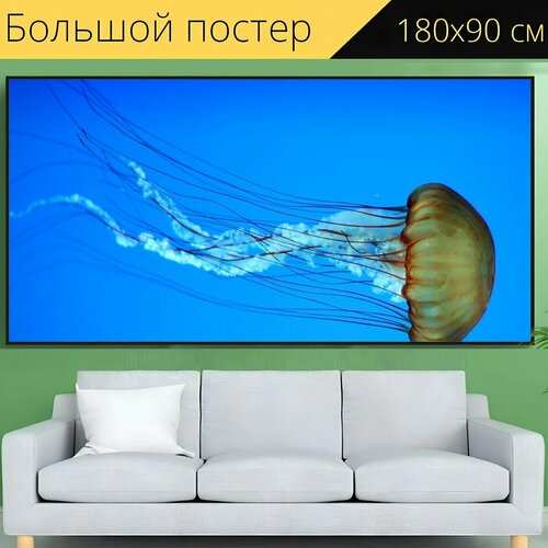 Большой постер "Медуза, морской, водный" 180 x 90 см. для интерьера