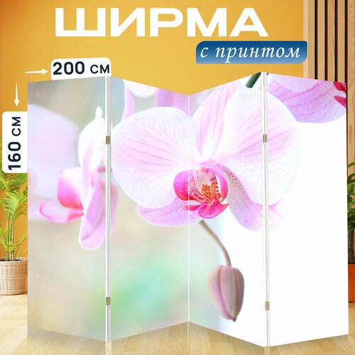 Ширма перегородка с принтом "Орхидея, яркий, цвести" на холсте - 200x160 см. для зонирования, раскладная