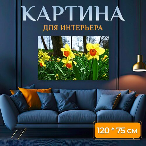 Картина на холсте "Нарцисс, цветок, завод" на подрамнике 120х75 см. для интерьера
