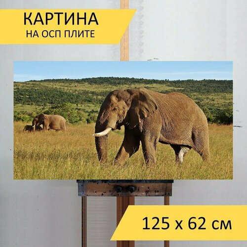 Картина на ОСП 125х62 см. "Слон, бык, африка" горизонтальная, для интерьера, с креплениями