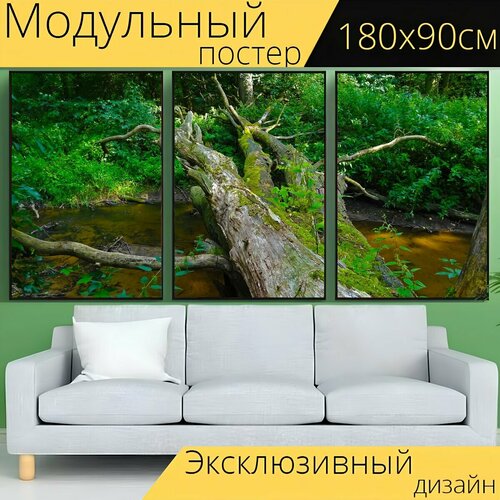 Модульный постер "Джунгли, дерево, поток" 180 x 90 см. для интерьера