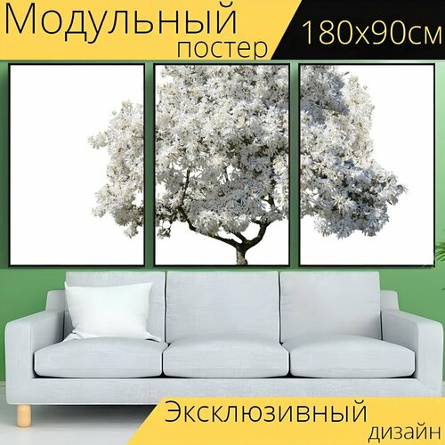 Модульный постер "Дерево, магнолия, весна" 180 x 90 см. для интерьера