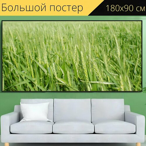 Большой постер "Сельское хозяйство, уборка урожая, пшеница" 180 x 90 см. для интерьера