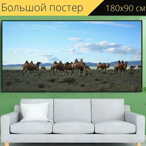 Большой постер "Монголия, верблюды, степь" 180 x 90 см. для интерьера