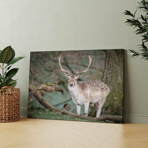 Картина на холсте (олень дикий животное белохвостый) 40x60 см, для интерьера, в комнату, на стену, в подарок