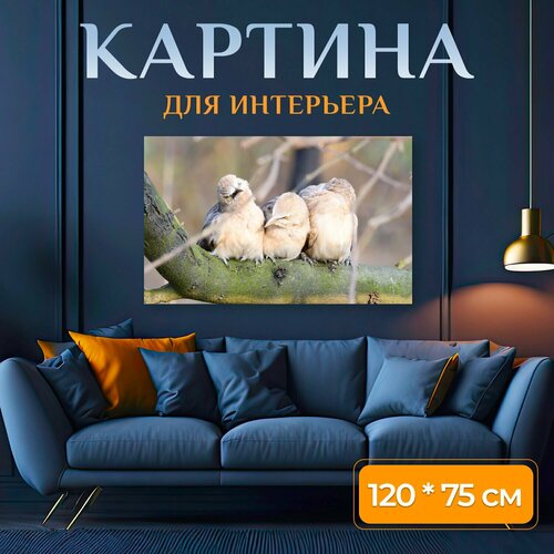 Картина на холсте "Фотография птиц, природа, животное" на подрамнике 120х75 см. для интерьера