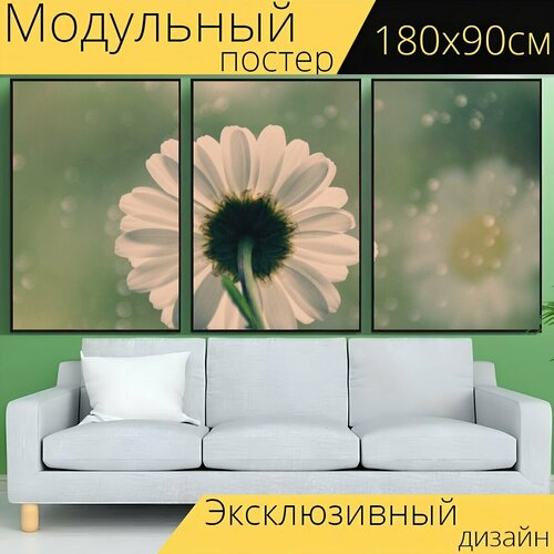 Модульный постер "Цветок, маргарита, дождь" 180 x 90 см. для интерьера
