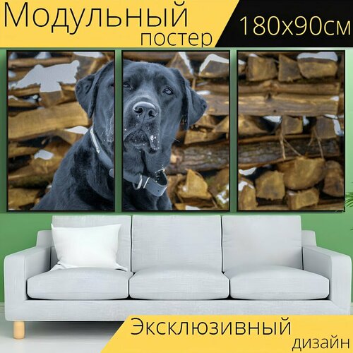 Модульный постер "Собака, любовь, домашний питомец" 180 x 90 см. для интерьера