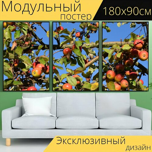 Модульный постер "Падение, фрукты, уборка урожая" 180 x 90 см. для интерьера