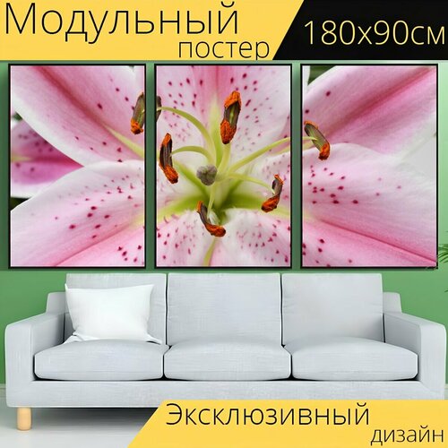 Модульный постер "Лили, цвести, цветок" 180 x 90 см. для интерьера