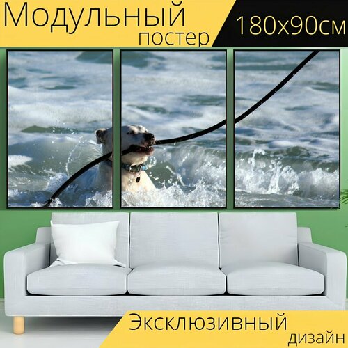 Модульный постер "Собака, вода, игра" 180 x 90 см. для интерьера