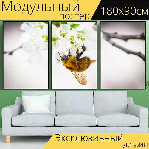 Модульный постер "Яблоня, цветы, весна" 180 x 90 см. для интерьера