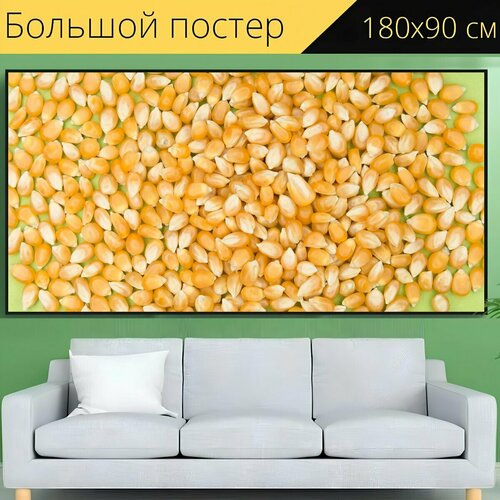 Большой постер "Кукуруза, попкорн, сушеный" 180 x 90 см. для интерьера