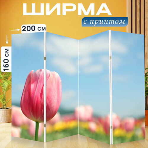 Ширма перегородка с принтом "Цветок, красивый, цветы и растения" на холсте - 200x160 см. для зонирования, раскладная
