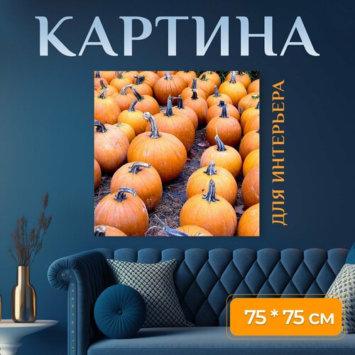 Картина на холсте "Тыквы, апельсин, сад" на подрамнике 75х75 см. для интерьера