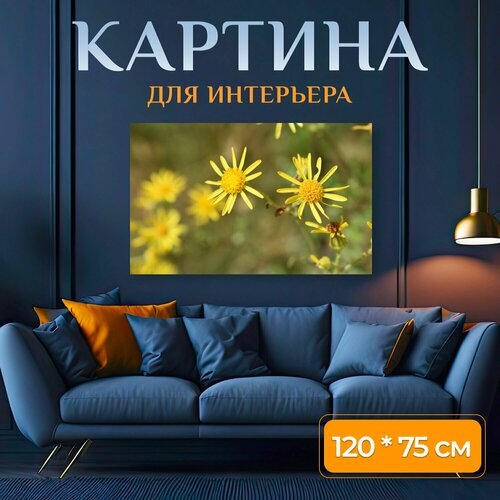 Картина на холсте "Желтый, цветок, природа" на подрамнике 120х75 см. для интерьера