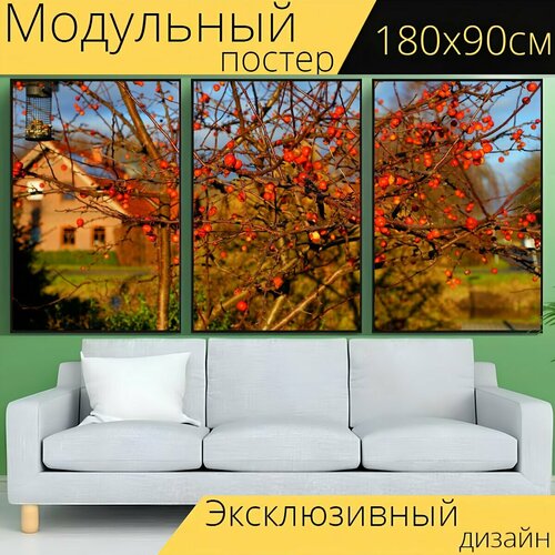Модульный постер "Сад, зима, красные ягоды" 180 x 90 см. для интерьера