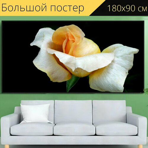 Большой постер "Роуз, цветок, чай" 180 x 90 см. для интерьера