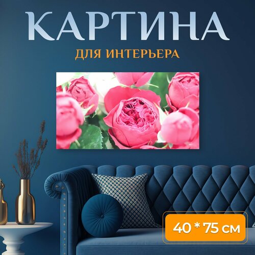 Картина на холсте "Цветок, богатый, розовый" на подрамнике 75х40 см. для интерьера