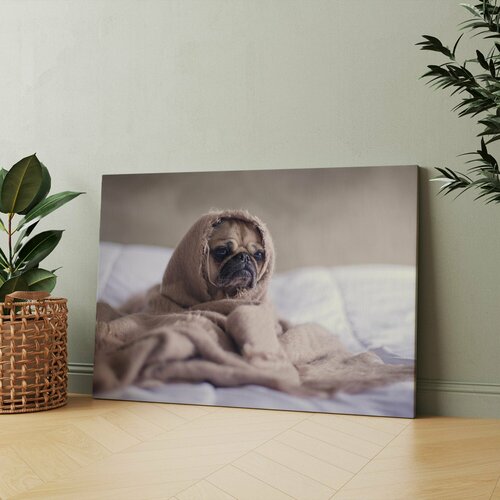 Картина на холсте (мопс в одеяле собака к чему приводит недосып грустный) 30x40 см/для интерьера/в комнату/на стену/в подарок