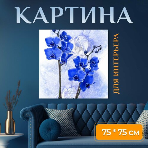 Картина на холсте "Фаленопсис, орхидея, окрашен в синий цвет" на подрамнике 75х75 см. для интерьера