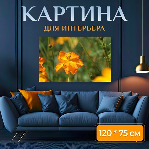 Картина на холсте "Оранжевый, цветок, овощ" на подрамнике 120х75 см. для интерьера