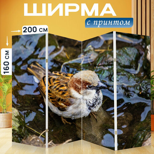 Ширма перегородка с принтом "Птица, животное, природа" на холсте - 200x160 см. для зонирования, раскладная