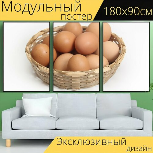 Модульный постер "Яйцо, корзина, еда" 180 x 90 см. для интерьера