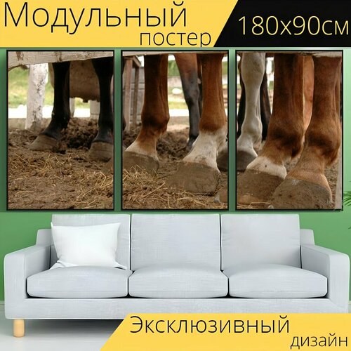 Модульный постер "Лошадиные ноги, лошадь, райдер" 180 x 90 см. для интерьера